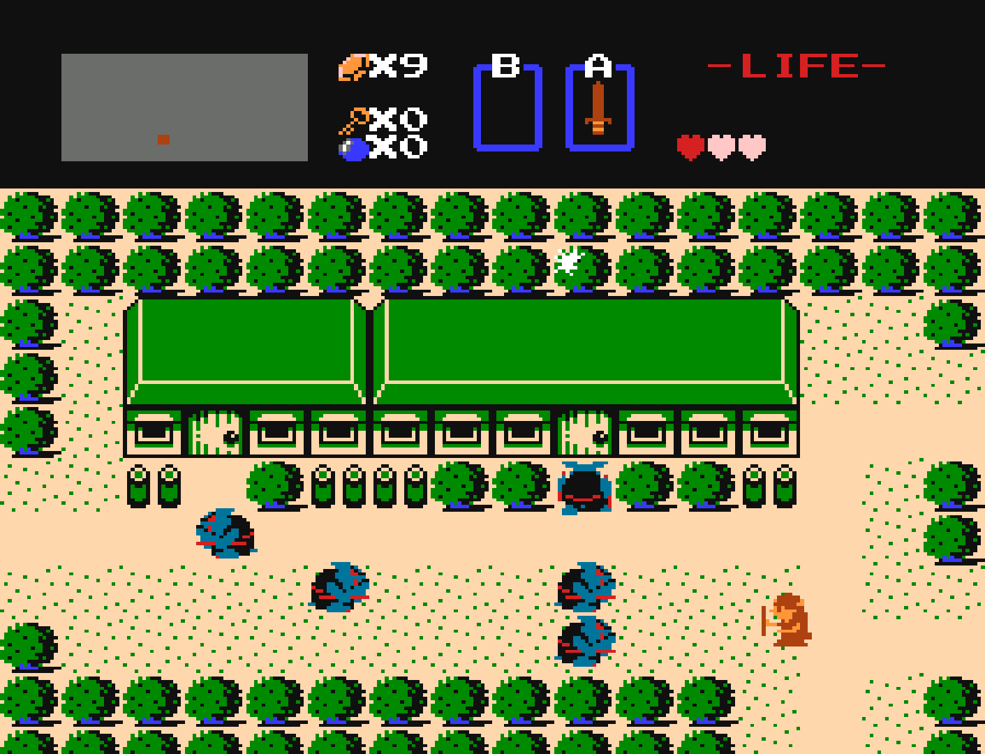 Zelda Randomizer + Infinite Hyrule – Set Side B
