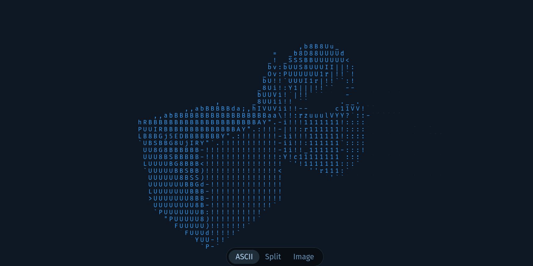 A Deep Dive into ASCII Image Rendering – Set Side B